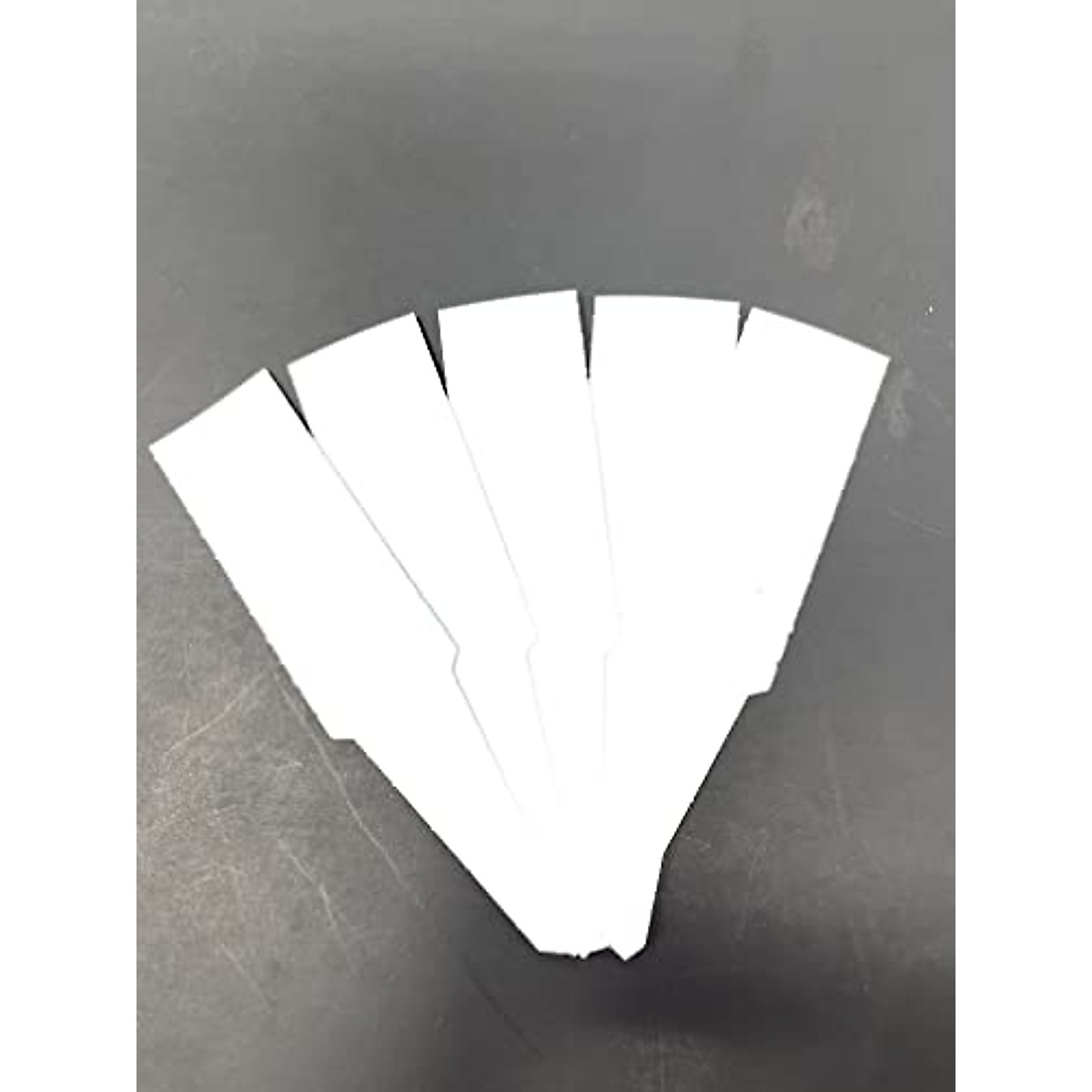 Heirloom Salad Greens Seed Starter Kit by EZ-gro | Our Indoor Vegetable Garden Kit Contains 5 Different Salad Seeds | Contains Everything an Indoor Vegetable Garden Kit Needs with Fertilizer