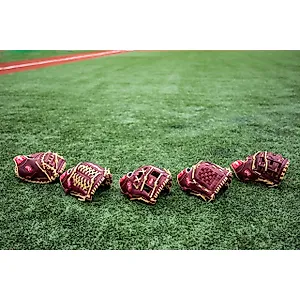 Rawlings | Sandlot Baseball Glove Series | Multiple Styles , Right Hand Throw, 1 Count ( Pack of 1)