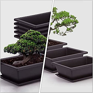 DOITOOL 5PCS Rectangular Bonsai Training Pot , 6.5 inch Plastic Bonsai Pot with Drainage Hole, Small Bonsai Planter Pot for Desktop Decoration Nursery, Garden, Balcony
