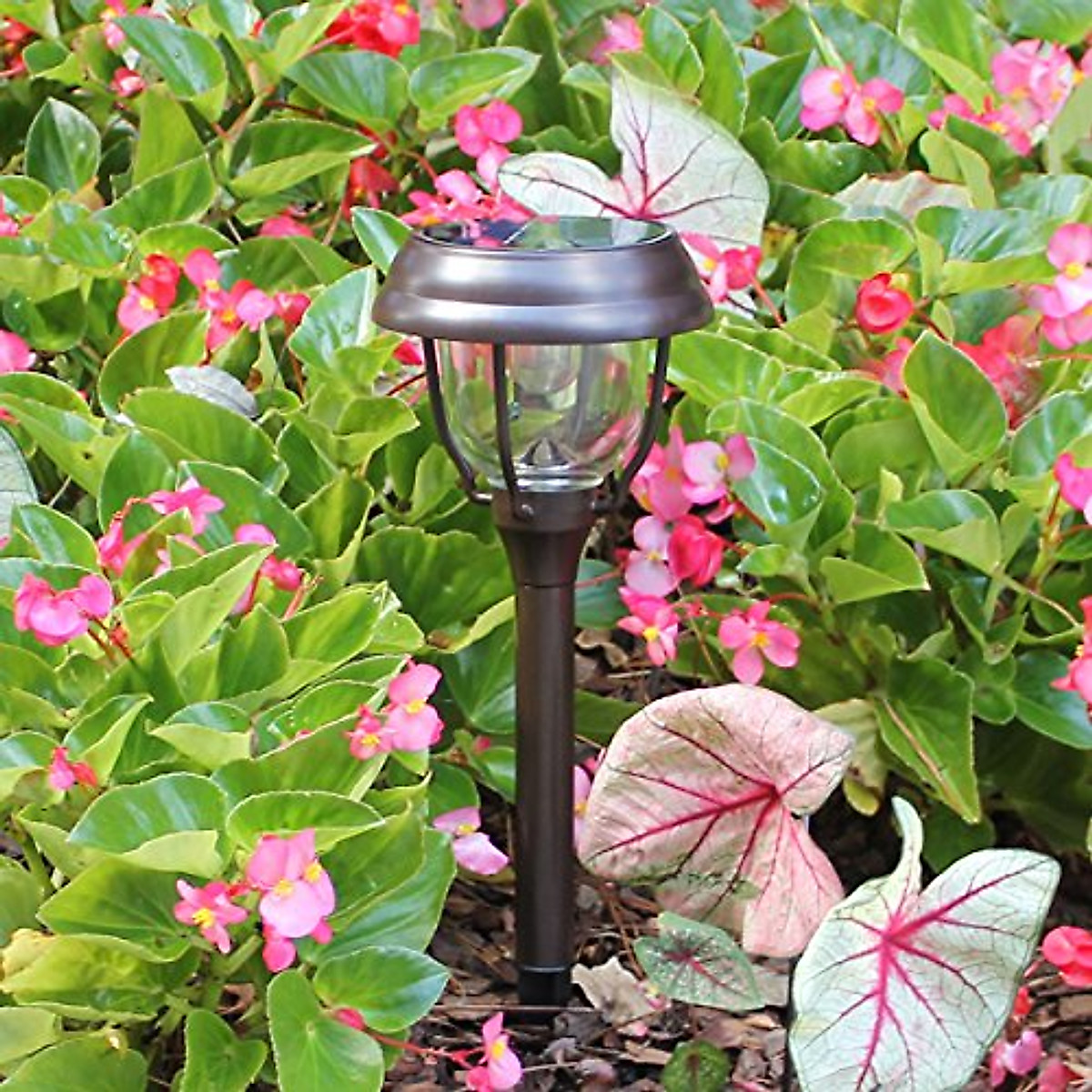SOLARBASICS SB-145 DC Pathway Solar Landscape Accent Light, Dual Warm/Bright White Bulb, LED, Oil Rubbed Bronze, 4-Pack