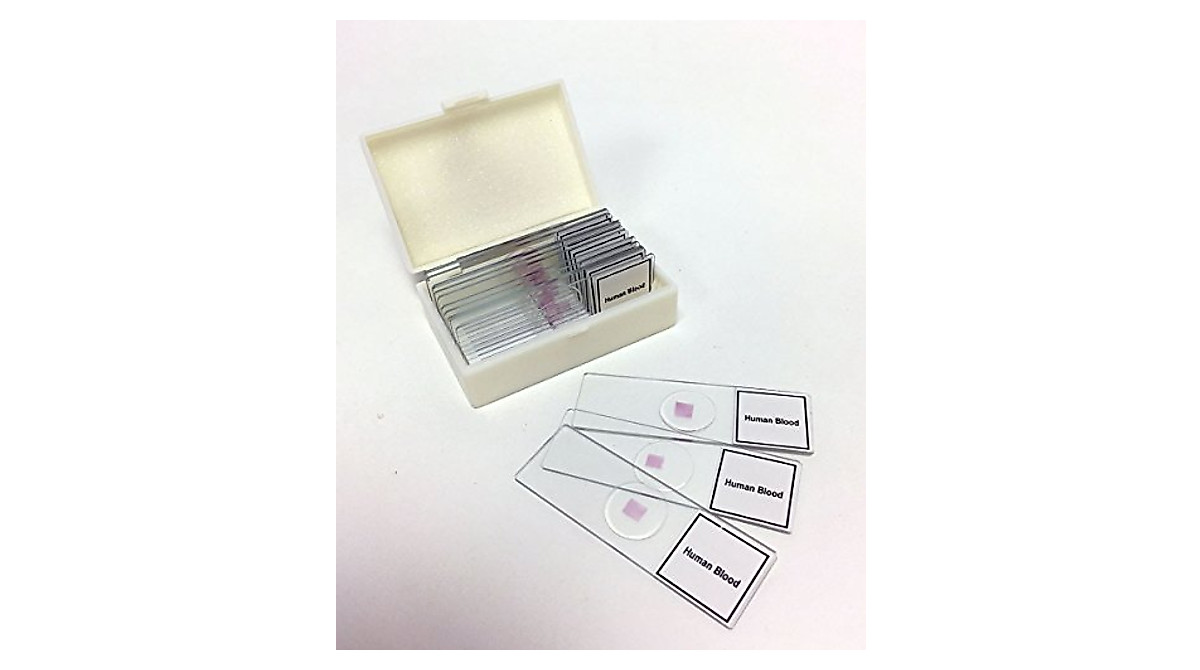 LabStock Human Blood Prepared Slides - Wrights Stain 15-Pack