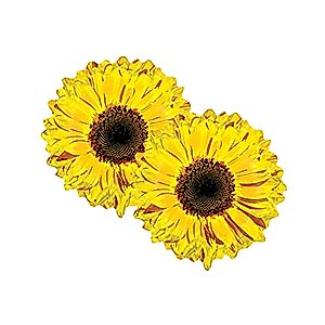 Set of 2 Yellow Sunflower 24" Foil Party Balloon