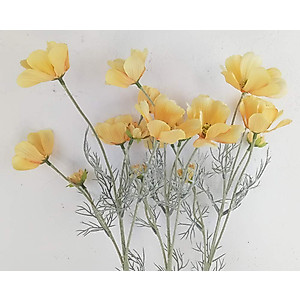 3 Pack Artificial Calliopsis Flower 23.6'' Long Stem Fake Silk Chrysanthemum Cosmos Gesang Flower for Wedding bridal bouquets party table garden home room shop photography props decoration (Champagne)