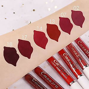 evpct CmaaDu 6Pcs Liquid Matte Lipstick Lipgloss Set for Women Dark Deep Bright Ruby Blood Brick Plum Mauve Rose Red labiales mate 24 horas originale matte larga duracion 24 Hour Lipstick Long Lasting