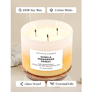 Vanilla Cedarwood Forest Candle - Large 3 Wick Scented Candle - Winter Balsam Fir Candle with Clove & Cedar - Natural Soy Candle for Home 15.8 oz - Aromatherapy Holiday Candle Gift for Women & Men