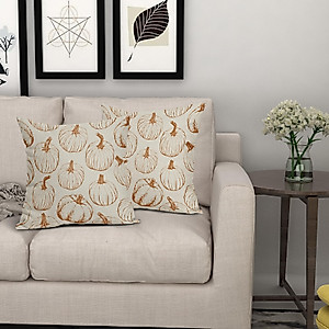 Aytipun Fall Pillow Covers 18x18 Set of 2 Burnt Orange Pumpkin Autumn Thanksgiving Harvest Decorative Throw Pillows Outdoor Cushion Case Sofa Couch Bed Decor