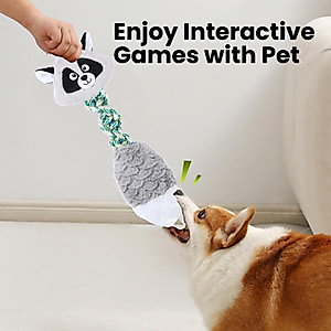 Petinstinct Large Squeaky Dog Toys for Aggressive Chewers, Indestructible Rope Plush Dog Chew Toys for Small Medium Large Dogs, Tough Tug of War Dog Toys to Keep Them Busy, 18 Inch, Raccoon