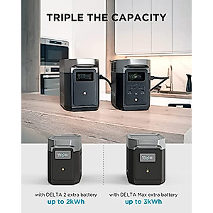 EF ECOFLOW Portable Power Station DELTA 2, 1024Wh LiFePO4 (LFP) Battery, Fast Charging, Solar Generator(Solar Panel Optional) for Home Backup Power, Camping & RVs