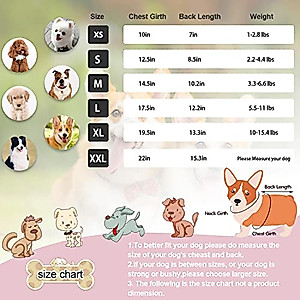 Dog Coat Dog Puffer Jacket Dog Snowsuit with D-Ring and Dog Lash Cat Dog Coats for Small Puppy Dogs Boy Girl Dog Hoodie Clothes Waterproof Windproof Warm Soft Fleece Dog Winter Coat Pink M