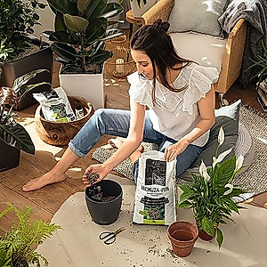 Lechuza 19561 PON Mineral Plant Substrate Potting Mix for Indoor Gardening, 6 Liter Bag, Grey