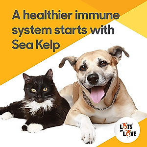 Kelp Powder for Dog & Cat - Organic Sea Kelp Supplement Granules Powder (16 Oz, 1 Pound)