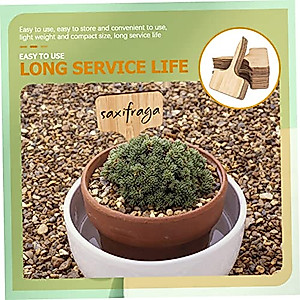 Baluue 90 Pcs Plant Label Vegetable Wooden