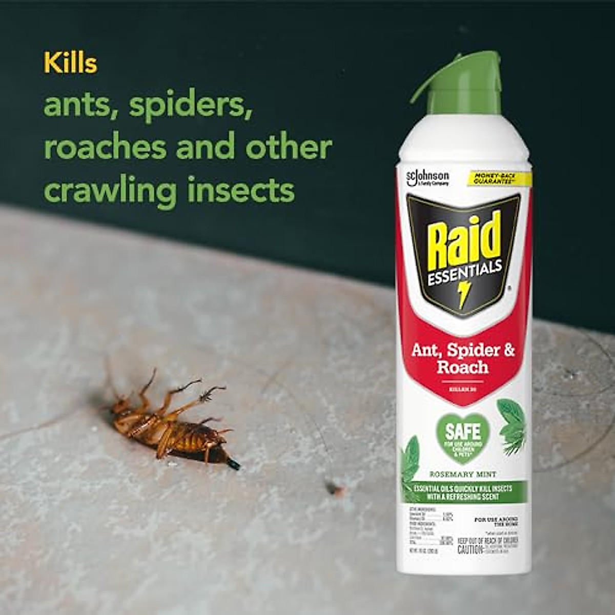 Raid Essentials Ant, Roach & Spider Killer Aerosol Spray, Child & Pest Safe, Kills Insects Quickly, for Indoor Use 10oz