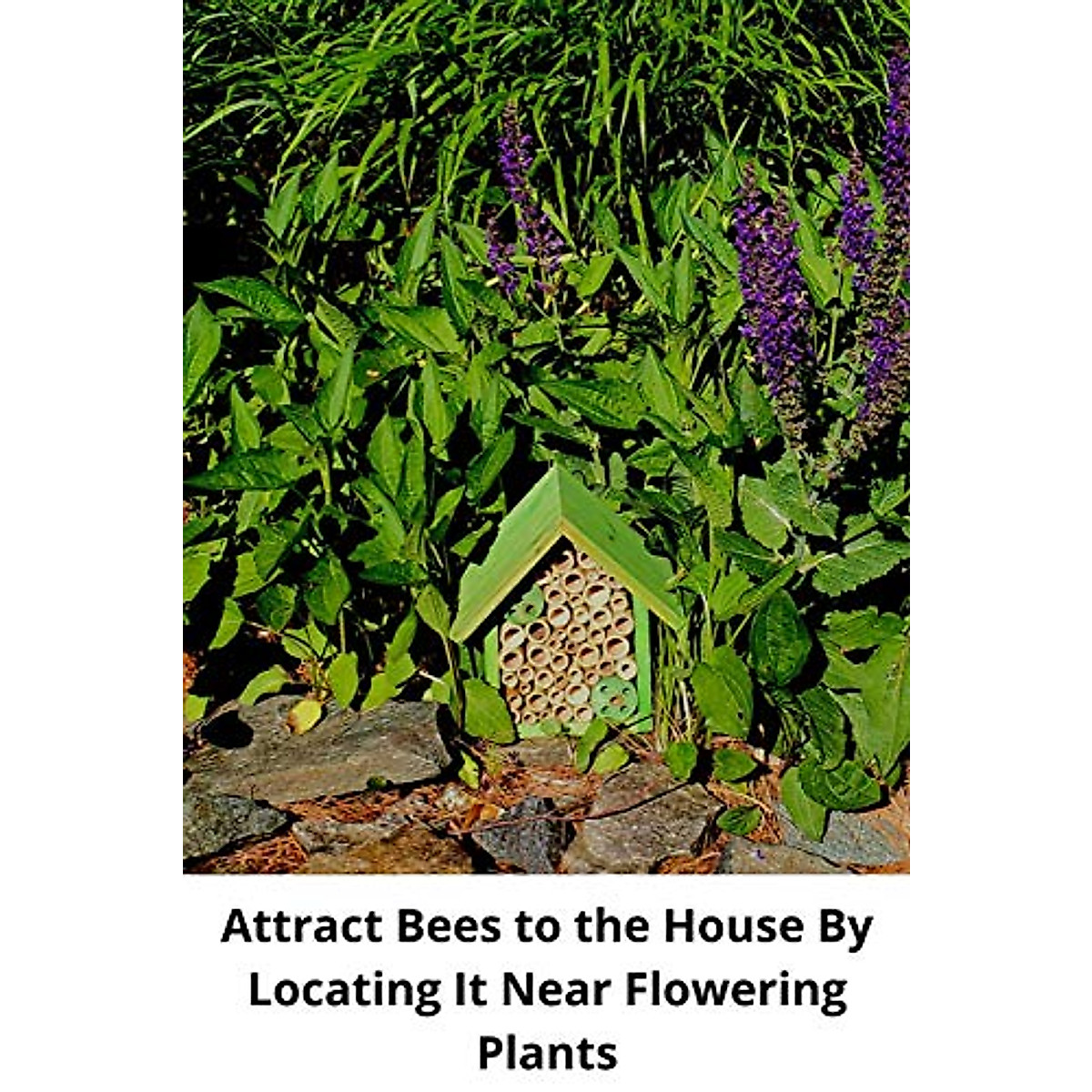 Rose Pink and Green Mason Bee House for The Garden Bundle - Lifetime Replacement Guarantee