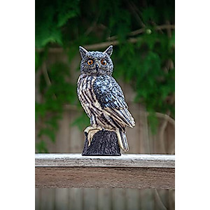VA Horned Eagle Owl Resin Statue, Fake Owl, Fake Statue, Fake Owls, Garden Owl, Owl Décor, Realistic Owl, Owl Yard Décor, Owl.