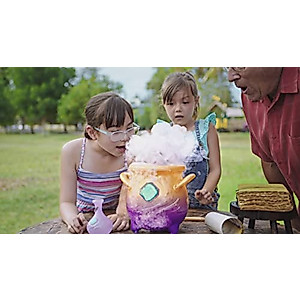 Magic Mixies Magical Misting Cauldron with Interactive 8 inch Pink Plush Toy and 50+ Sounds and Reactions