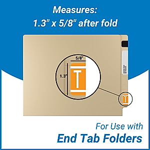 Doctor Stuff - File Folder Labels, Ringbook Sheets Alphabet Letter T, VRE/GBS 8850 - VRAM Series Compatible Alpha Stickers, Orange, 1.3" x 1.25", 200/Package