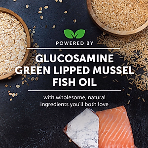 Pet Honesty Cat Hip & Joint Health & Digestive Probiotics Bundle: Glucosamine Chews & Max Strength Probiotic for Gut Health (Chicken 30-Day Supply & 120 Scoops)