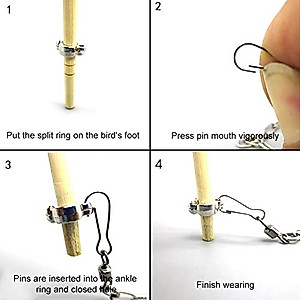 Parrot Bird Harness Leash Anti-bite Outdoor Flying Training Rope Pet Supplies for Macaw African Greys Parakeet Cockatoo Cockatiel Lovebird