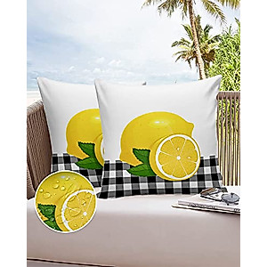 Vandarllin Outdoor Throw Pillows Covers 18X18 Set of 2 Waterproof Lemon Summer Fruit Decorative Zippered Lumbar Cushion Covers for Patio Furniture, Black White Buffalo Check Plaid