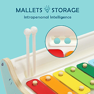 TOP BRIGHT Wooden Xylophone for Kids, Baby Musical Instrument Toy with 2 Xylophone Mallets and 3 Musical Cards, Holiday Birthday Gift for 18 Month Old Boys Girls Toddlers