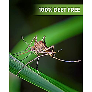 Mosland Naturals Mosquito Repellent Incense Sticks 50 PCS, Mini Citronella Mosquito Bug Repellent Incense Stick for Outdoor Patio, DEET Free & 40-50 Minutes Protection