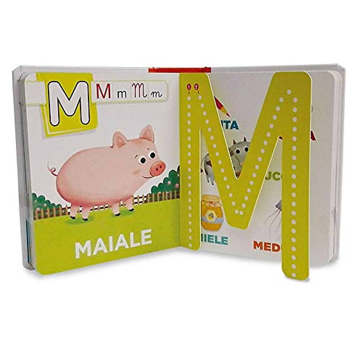 ABC a chiare lettere. Ediz. a colori