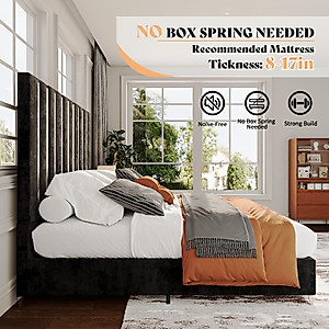 AMERLIFE King Bed Frame with 58" Tall Headboard, Silver Mirror-Plated Trim Platform Bed with Velvet Upholstered, Modern and Luxury Bed, No Box Spring Needed, Black