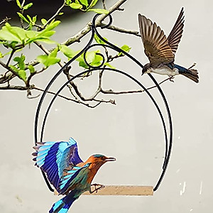winemana Set of 3 Hummingbird Swings, Rust Resistant Metal Frame, Wooden Dowel, Attach to Bird Feeders, Perfect for Hanging Indoor Office Outdoor Trunk Lawn Patio Garden (7.4" x 5.5")