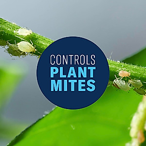 BioAdvanced All-in-One Rose & Flower Plant Care, Ready-to-Use, 24 oz