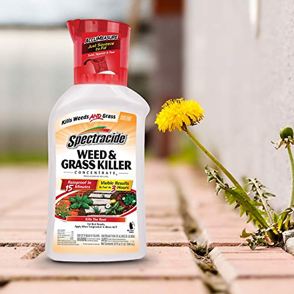 Spectracide Weed and Grass Killer Concentrate, 32 Ounces, With Accumeasure System