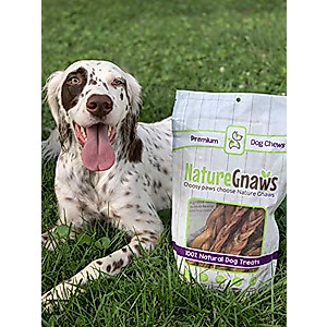 Nature Gnaws Variety Pack of Dog Chews and Bully Sticks - Long Lasting Gnaw Treats Bag for Puppies and Active Dogs - Natural and Rawhide Free Bones