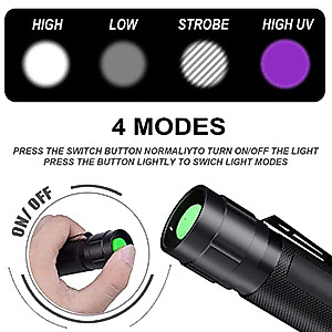 Black Light ,Flashlight, LED UV Torch 2 in 1 Blacklight with 500LM Highlight, 4 Mode, Waterproof for Pet Clothing Food Fungus Detection/Night Fishing/Travel