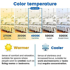 EdisonPar A19 6-Pack LED Light Bulbs, E26 Base 75W Equivalent 1000lumens 4000K Neutral Daylight, Cool White (CWF), Non-Dimmable 9W 15000Hrs Indoor UL