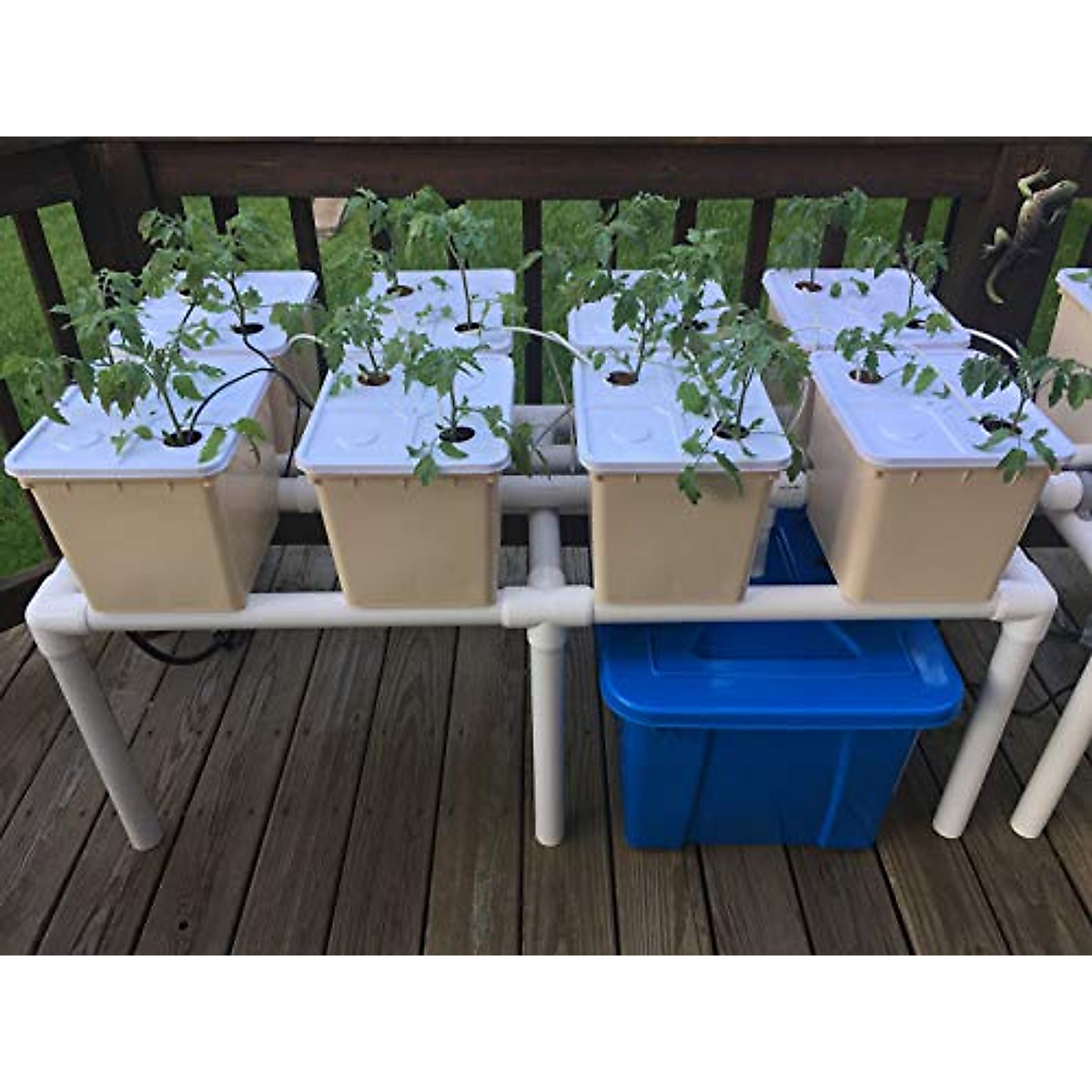 Dutch Bucket/Bato Bucket Siphon Elbows, Hydroponic, Black - 10 Pack