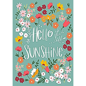 Toland Home Garden 1112560 Hello Sunshine Spring Flag 12x18 Inch Double Sided Spring Garden Flag for Outdoor House Flower Flag Yard Decoration
