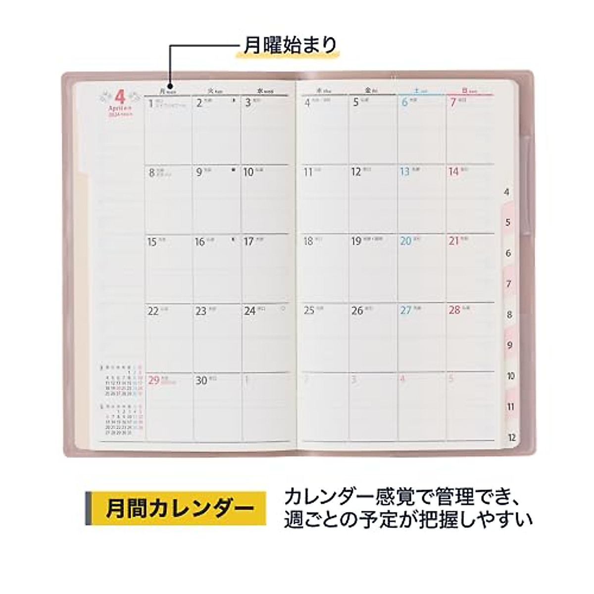 Nolti 2777 Peigem Family x Monthly Plenty of Pickpockets