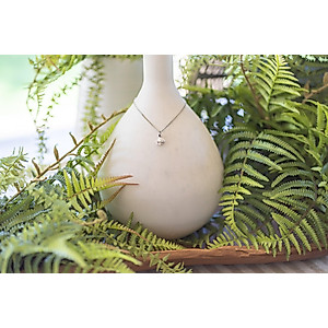 Heartland Store Sterling Silver Women's Triple Slide Rose with Miraculous Pendant + 18 Inch Rhodium Plated Chain & Clasp