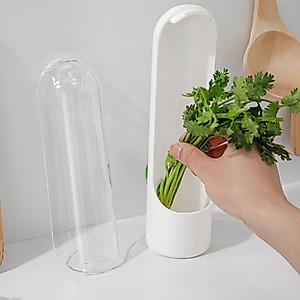 lygchii Herb Keeper for Refrigerator, 2pcs Fresh Cilantro Containers, Clear Herb Storage Container Glass, Keeps Vegetables Fresh for 2-3 Week for Cilantro, Mint, Parsley, Asparagus