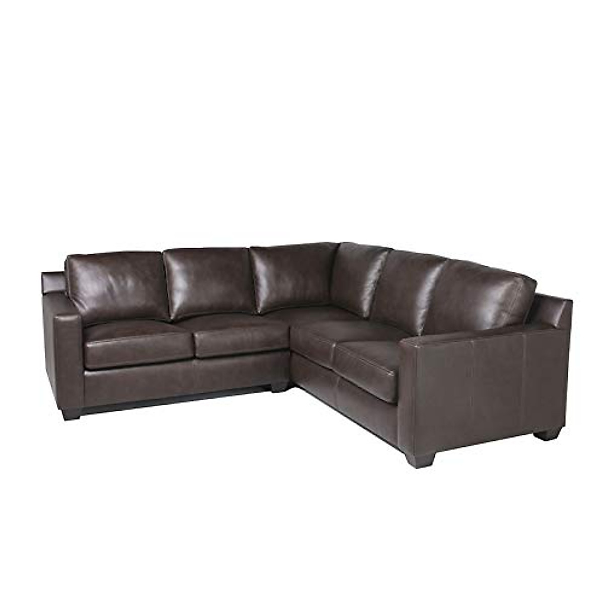 Nice Link Home Furnishings Lauren Leather Two Piece Dark Brown Colored Sectional