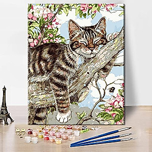 TISHIRON DIY Paint by Numbers Hand Painting Cat Series on Canvas for Adults Beginner Kids Drawing with Brushes Festival Gift House Decorations No Frame Cat Snuggling in The Treetops-16x20inch