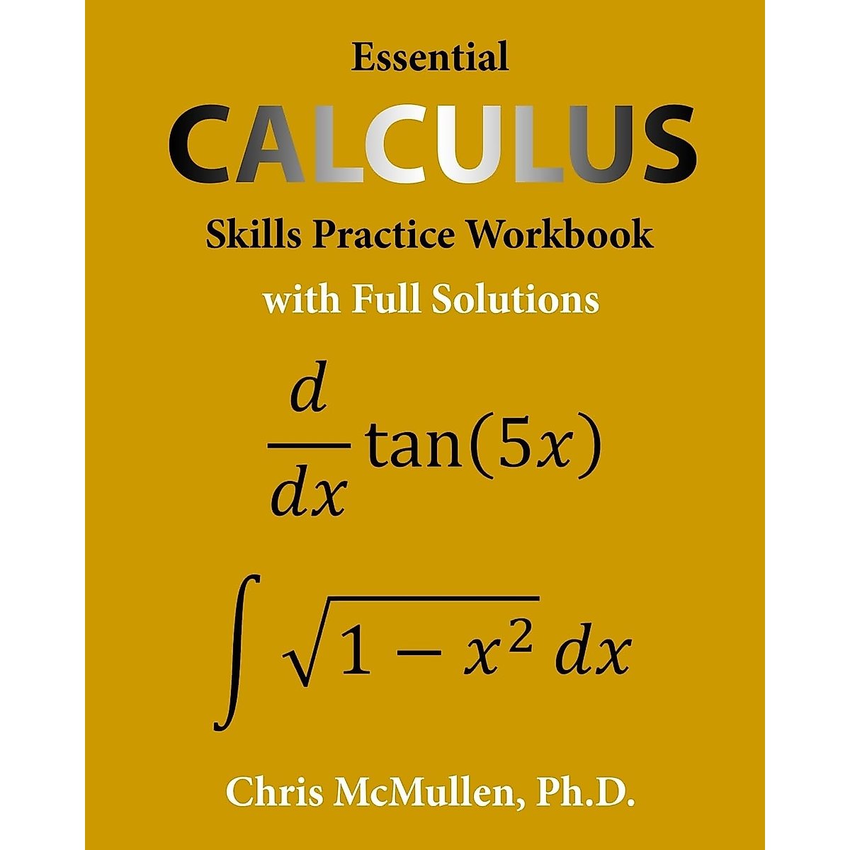 Essential Calculus Skills Practice Workbook with Full Solutions