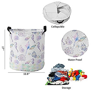 Laundry Basket Hamper with Handles, Beach Themed Waterproof Laundry Bin Foldable Clothes Basket for Storage Toys and Clothing Ocean Shells Starfish Illustraction 13.8x17 Inch