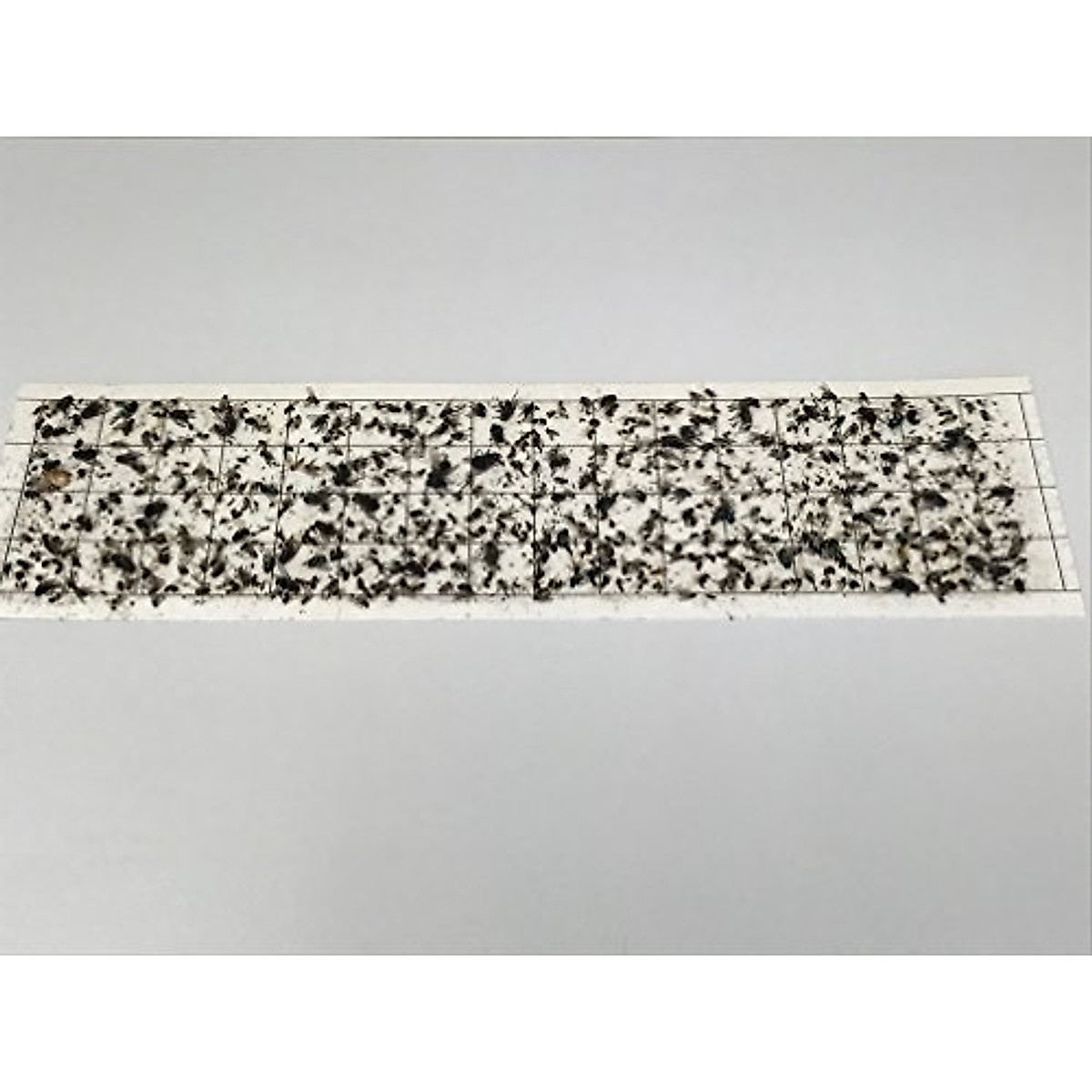 5"x17" 24 Pack, Fly Light, Insect Light Trap Replacement Glue Boards with 1" Grid