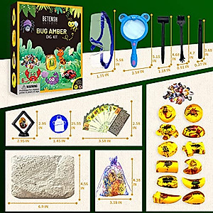 Amber Dig Kit Includes Excavate 12Pcs Insect Ambers and Many Crystal Stones As Fun Geology Science STEM Educational Bugs Toys for Science Educational (Bugs)