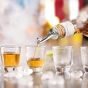 2 Pcs Liquor Pourers Stainless Steel oil spouts Bottle Pour Spouts with Covers for Oil, Wine, Vinegar and Liquid