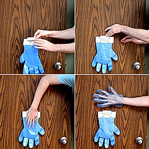 Daxwell Poly Gloves, Easy-Fit Food Prep Gloves, Header Gloves, One Size Fits All, Blue, With Wall Mount, F10003538 (Case of 1,000, 20 Cards of 50)