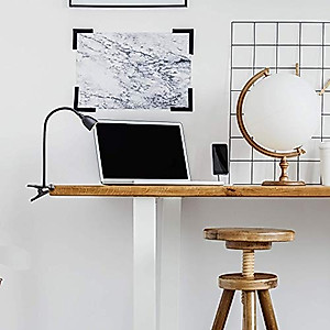 Newhouse Lighting NHCLP-OL-BK Olivia LED Clamp Light Desk Lamp with Flexible Gooseneck, 3 Brightness Levels & 3 Color Modes, Black