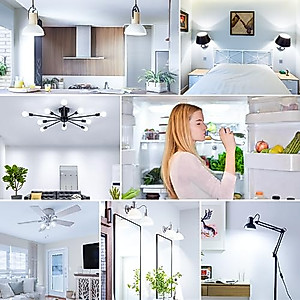 Maylaywood LED Refrigerator Light Bulbs, 40 Watt Equivalent A15 Fridge Bulb Waterproof, Daylight White 5000K, 550LM, E26 Base, Non-Dimmable, 5W LED Appliance Bulb for Frigidaire Home Lighting, 2-Pack