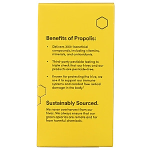 Beekeepers Naturals Propolis Sinus Support, 60 CT